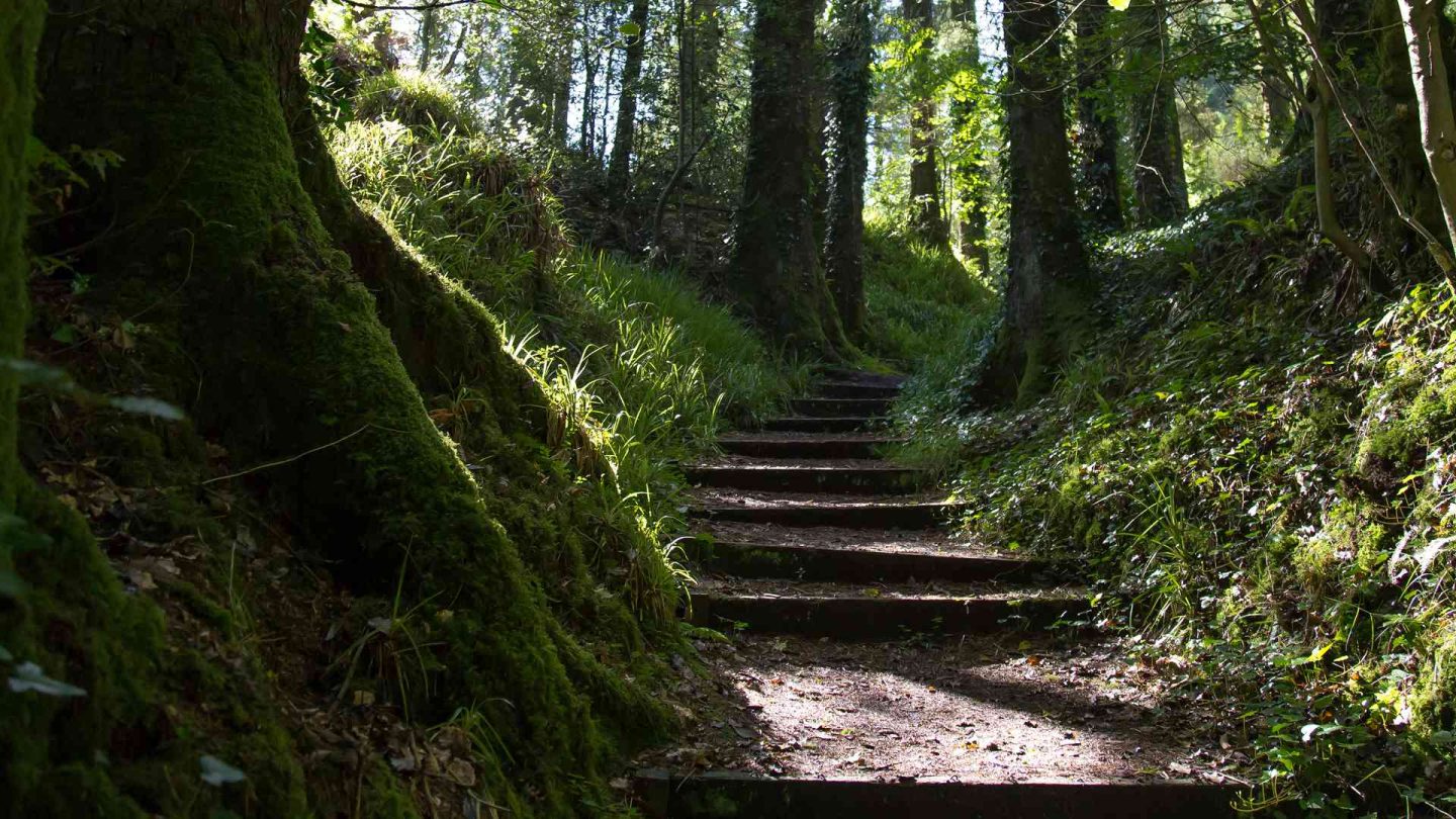 Monicknew Valley Walk | Slieve Bloom Mountains, Irelands Hidden Heartlands