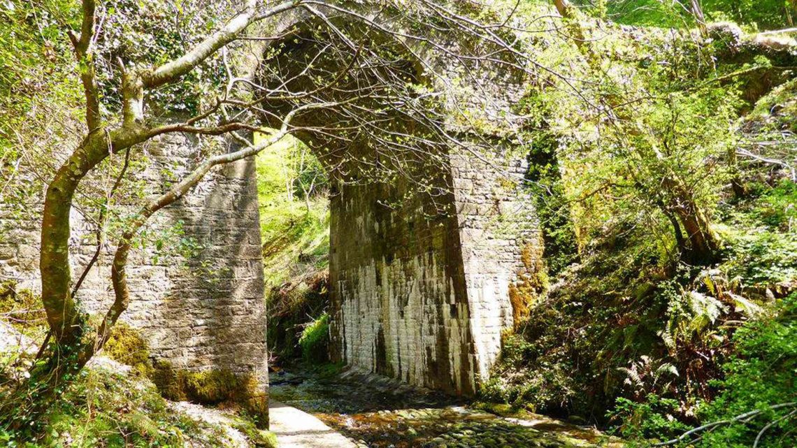 Riverside Walk | Slieve Bloom Mountains, Irelands Hidden Heartlands